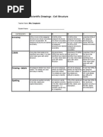 Scientific Drawing Rubric | PDF | Cognition | Cognitive Science