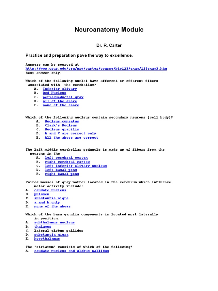 Neuroanatomy | PDF | Cerebellum | Striatum