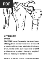 Sacral OMM Guide | PDF | Anatomical Terms Of Motion | Human Anatomy