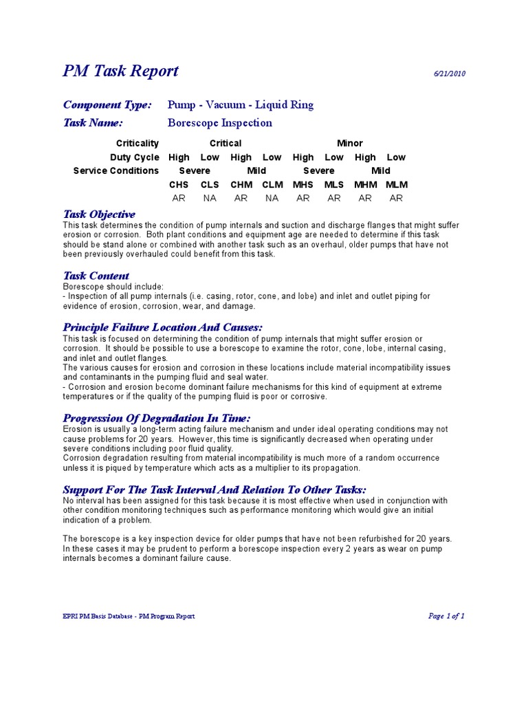 Borescope Inspection for Liquid Ring Pumps | PDF