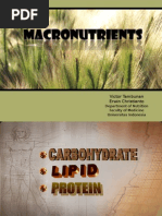 Gabi (Colocasia Esculenta Taro) Stem and Leaves As Decorative Paper ...