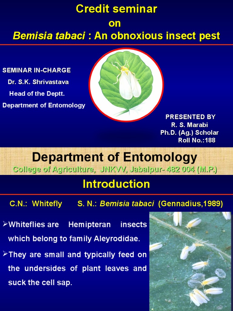 Bemisia Tabaci: An Obnoxious Insect Pest | PDF | Plants | Organisms