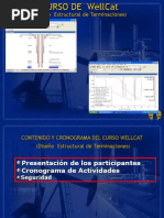 Open Wells | PDF | Programa de computadora | Programación