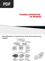 Rotation Chart KPSC | PDF | South Asia | Politics Of India