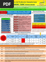 18 Elementos Del SASISOPA PDF | PDF | Seguridad | Informática y ...