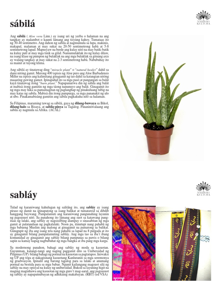 SK 2000 S | PDF