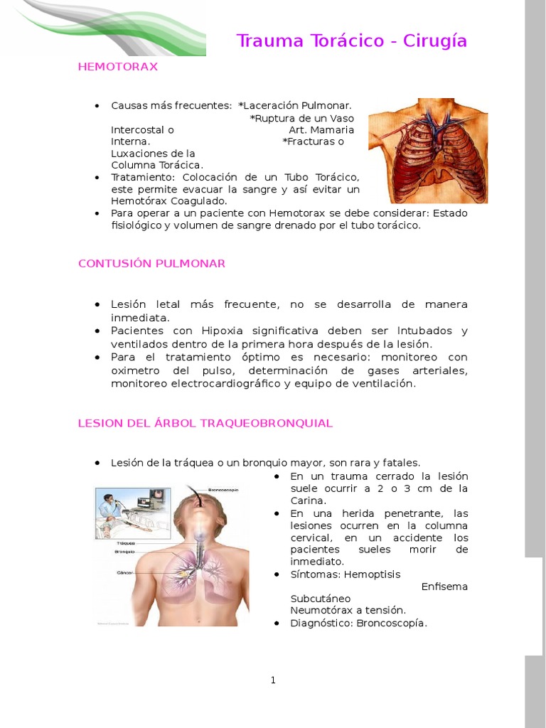 HEMOTORAX | Lesión | Medicina