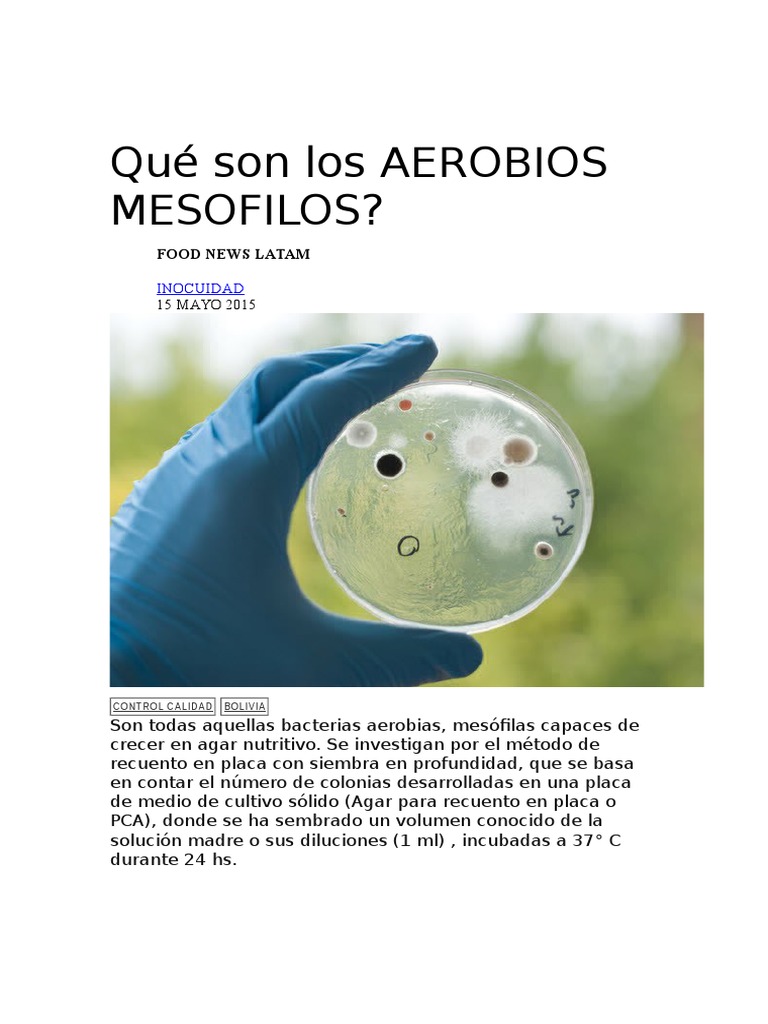 Qué Son Los Aerobios Mesofilos | Microorganismo | Alimentos