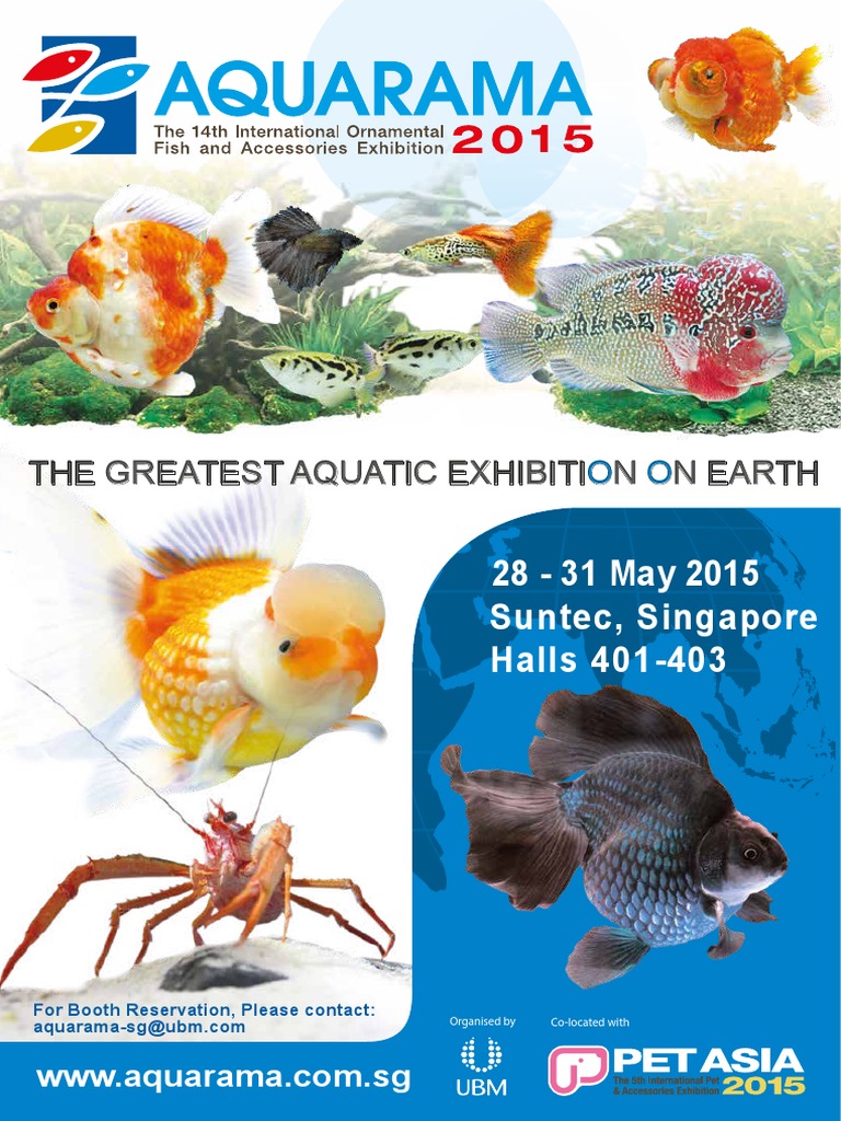 Sales Brochure | PDF | Aquarium | Fishkeeping