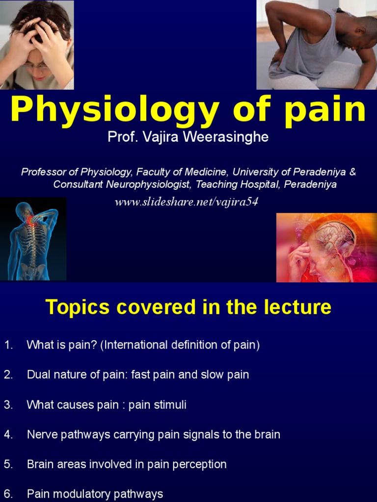 Pain Physiology | Pain | Stimulus (Physiology)