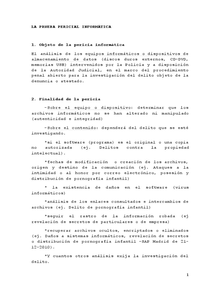 Prueba Pericial Informatica | PDF | Testigo experto | Caso de ley