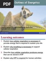 DAE Guest Houses and Tariff | PDF | Nuclear Energy | Nuclear Technology