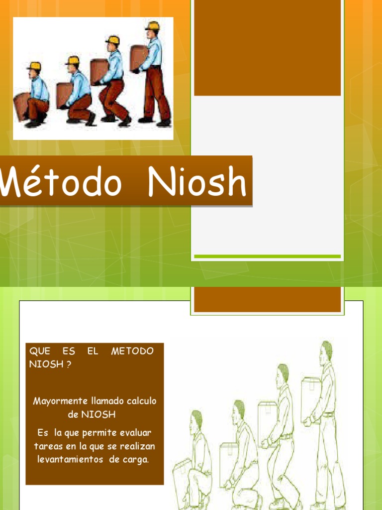 APLICACION DEL METODO NIOSh | PDF