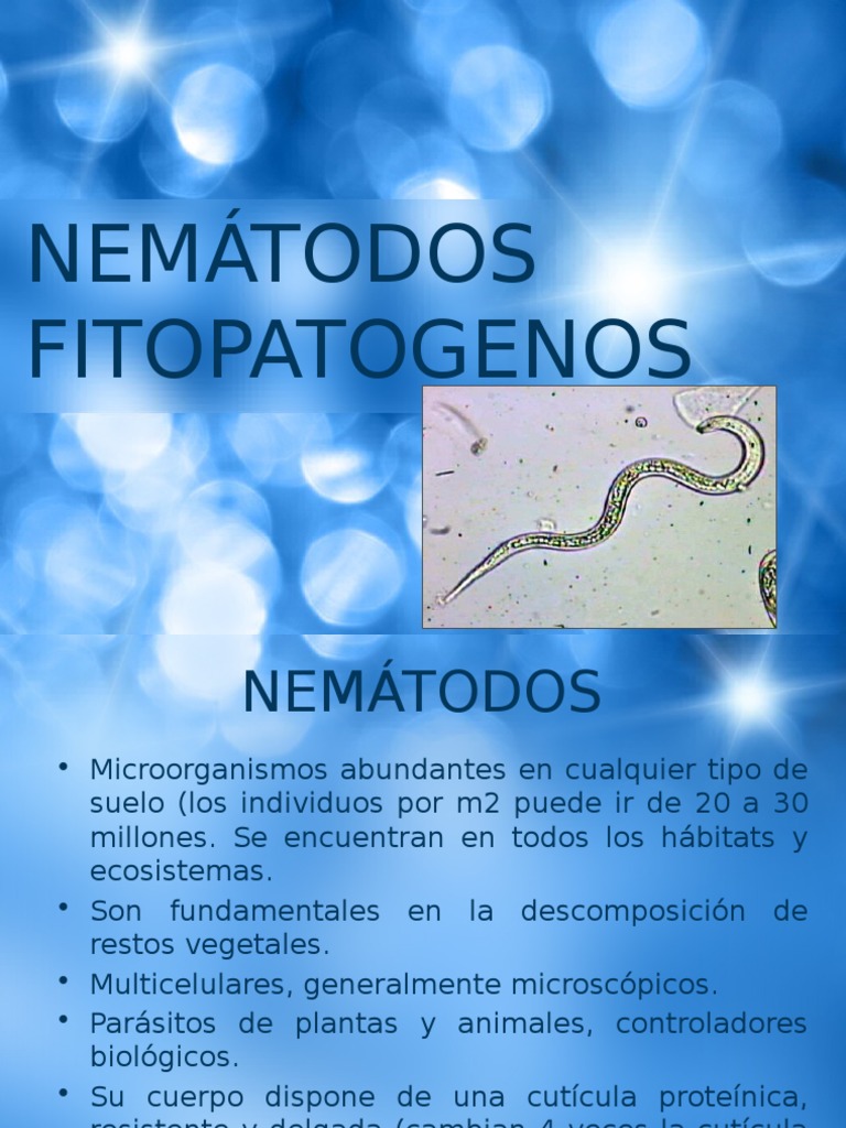 Nematodos Fitopatógenos | PDF | Nematodo | Patologia de planta