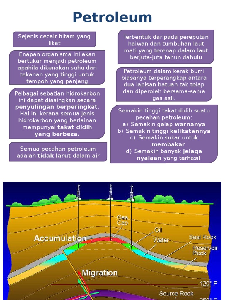 Petroleum | PDF