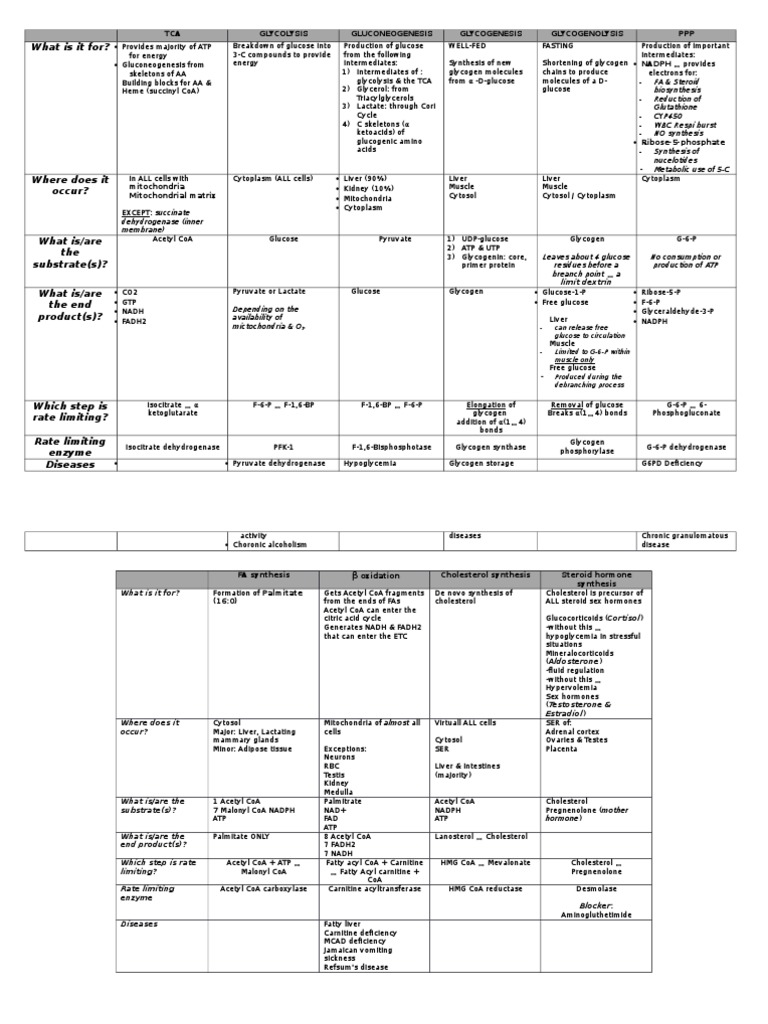 What Is It For?: TCA Glycolysis Gluconeogenesis Glycogenesis ...