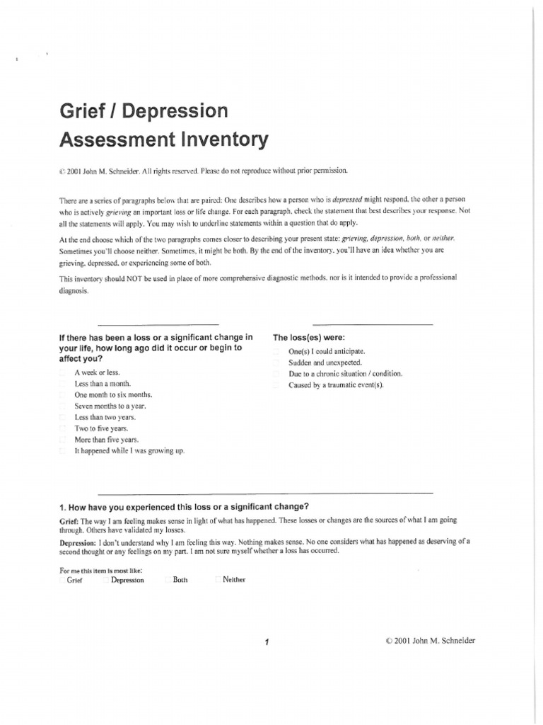 Grief - Depression Assessment Inventory | PDF