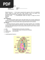 LKPD Sel Hewan Dan Sel Tumbuhan | PDF