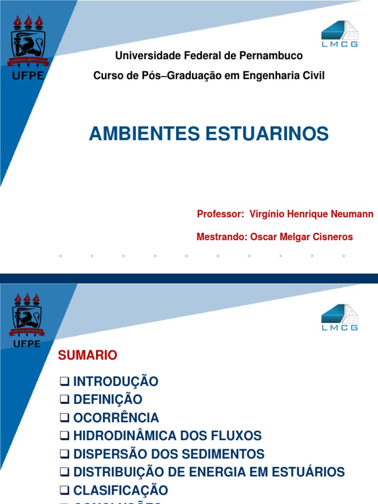 Ambientes Estuarinos: Hidrodinâmica, Dispersão de Sedimentos e ...