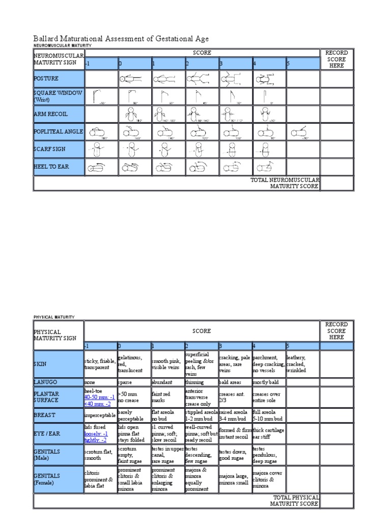 Ballard Maturational Assessment of Gestational Age | PDF