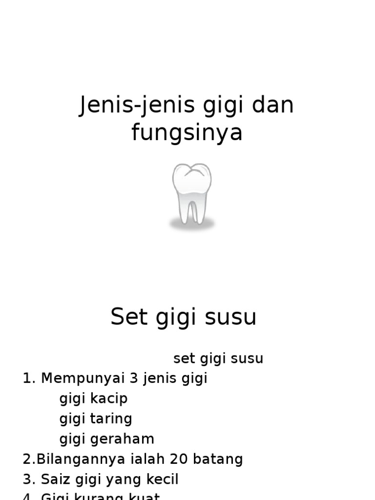 Jenis-Jenis Gigi Dan Fungsinya | PDF
