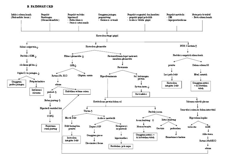 Pathway CKD | PDF