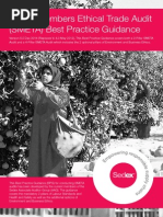 SHE Audit Checklist Guide | PDF | Emergency | Internal Audit