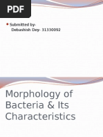 Dichotomous Key Lizard | PDF | Taxonomy (Biology) | Species