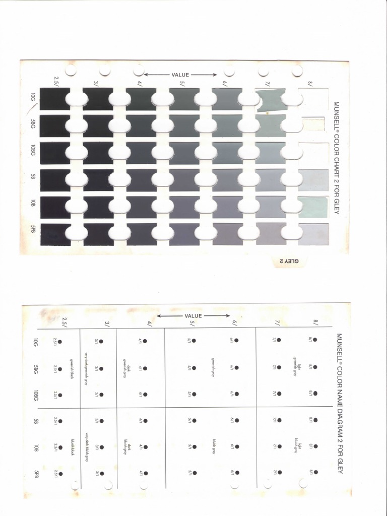 Munsell Gley Color Reference Guide | PDF | Sports & Recreation