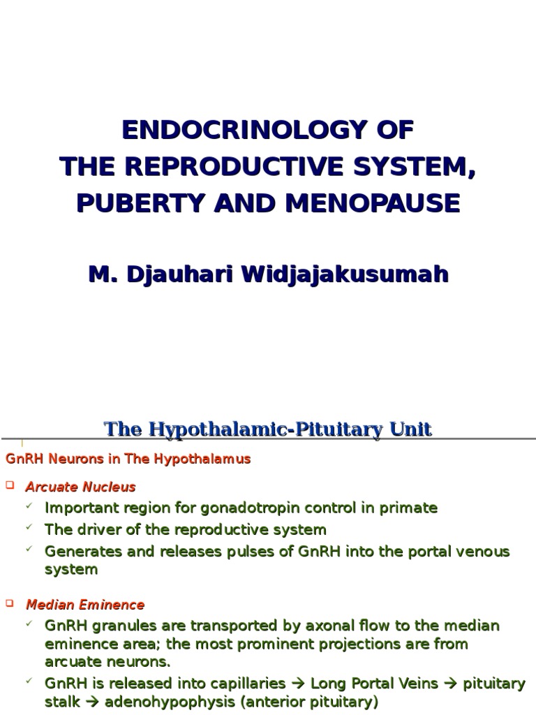 Repro Sys Puberty 2012, Concise | PDF | Puberty | Luteinizing Hormone