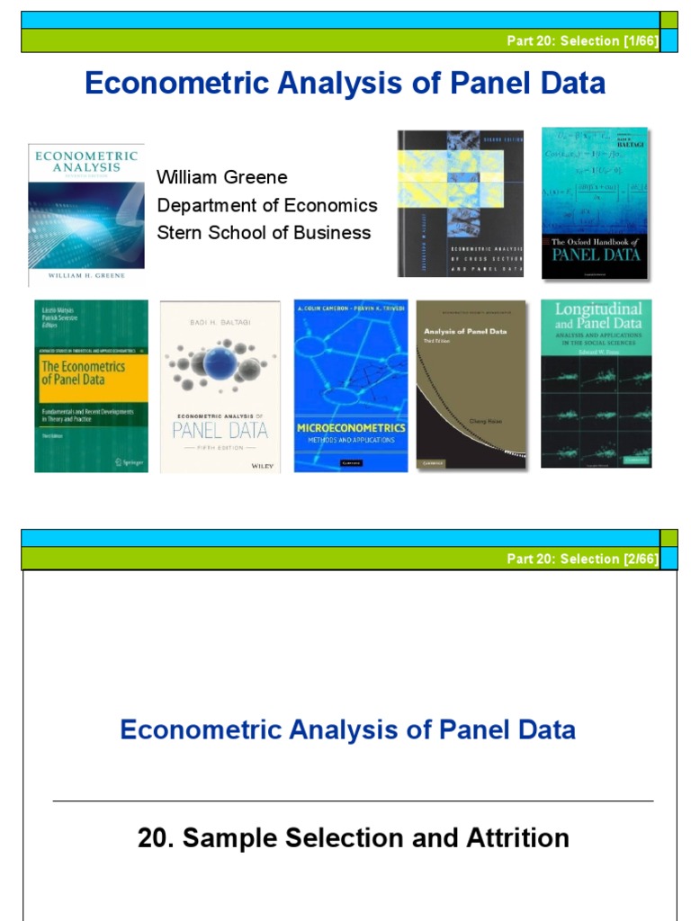 Econometric Analysis of Panel Data: William Greene Department of ...