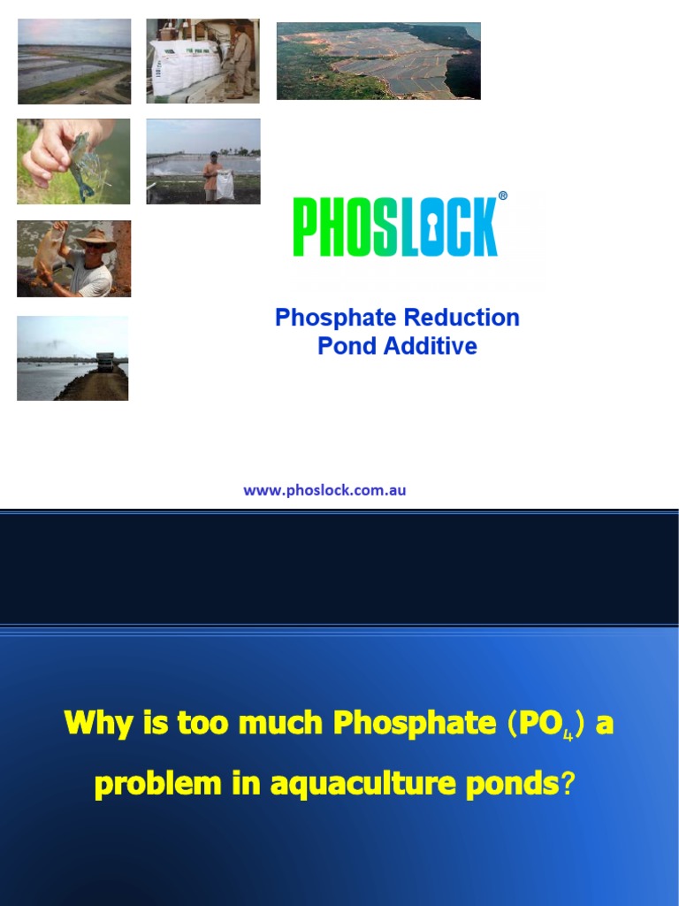 Phoslock Aquaculture | PDF | Algae | Pond