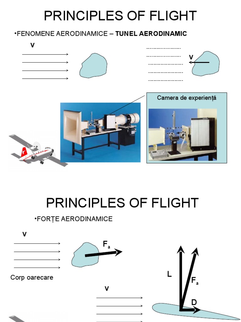 Principles of Flight | PDF