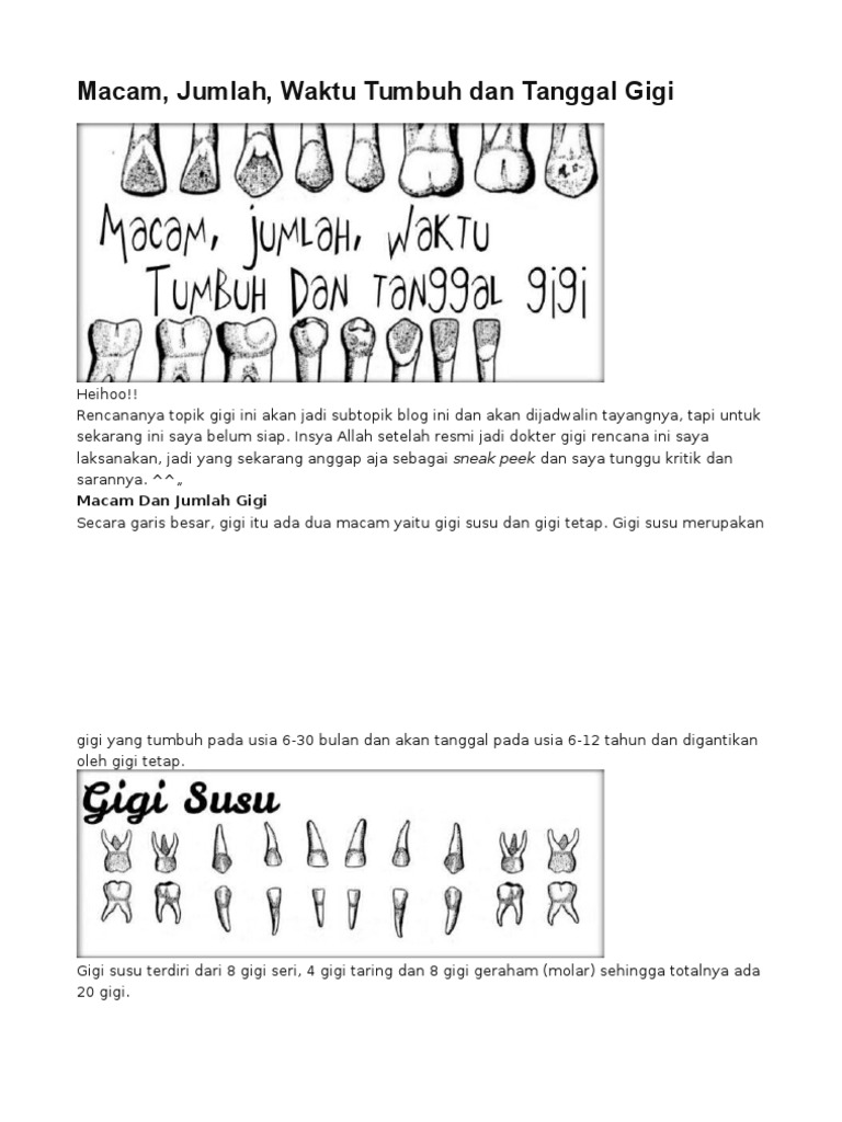Macam, Jumlah, Waktu Tumbuh Dan Tanggal Gigi | PDF | Gaya Hidup