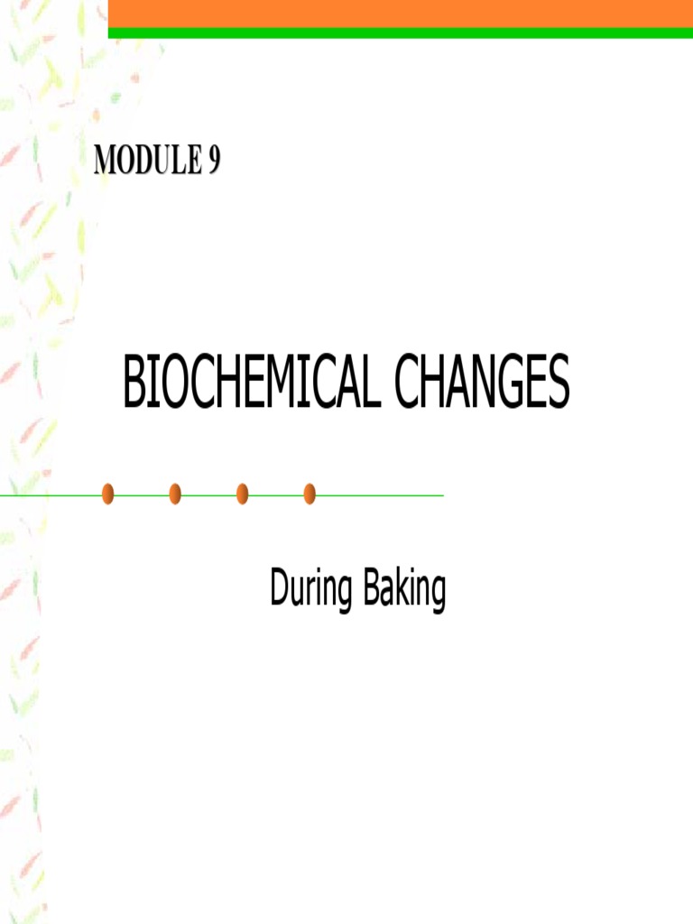 Biochemical Changes During Baking | PDF | Breads | Dough