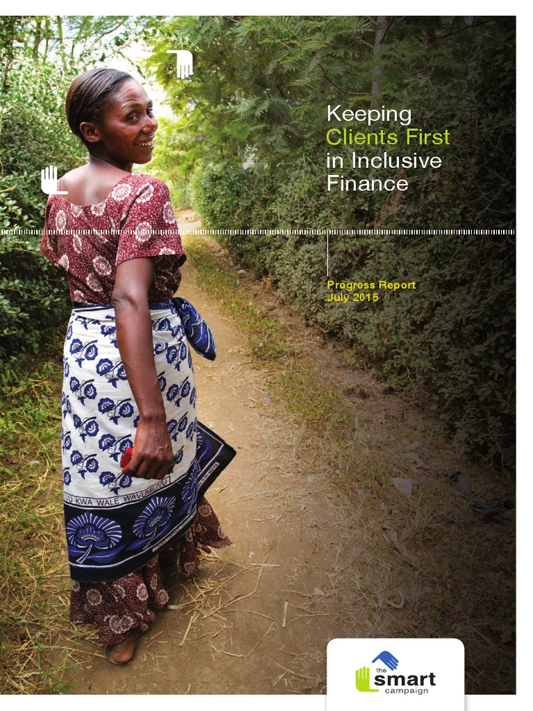 Smart Campaign Progress Report July 2015 | PDF | Microfinance ...