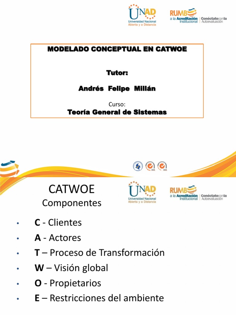 Modelado Conceptual Basado en CATWOE | PDF