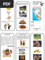 Triptico - LA SIERRA.docx