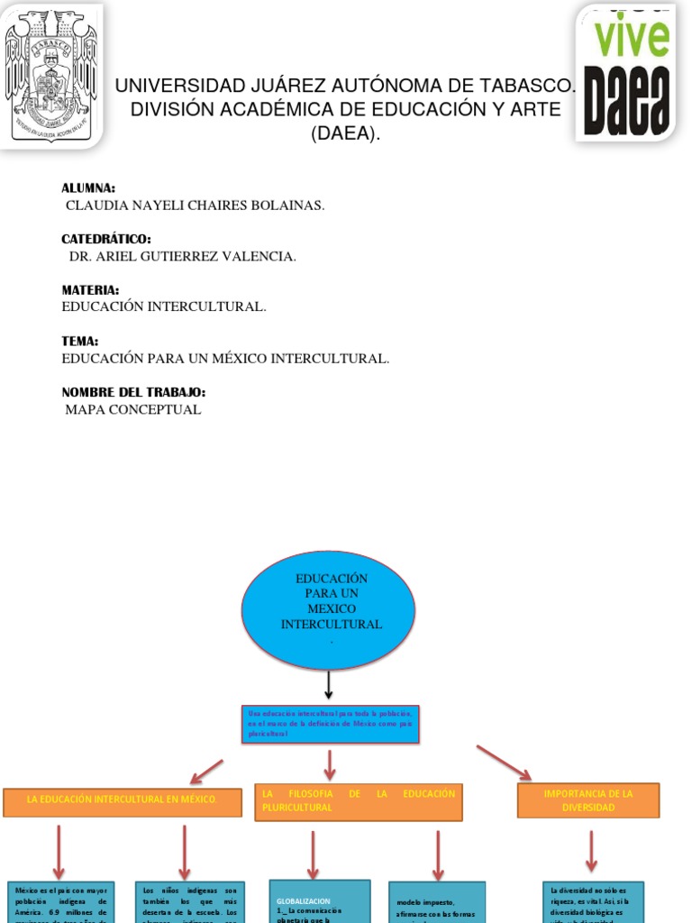 Mapa Conceptual | PDF | Interculturalidad | Multilingüismo