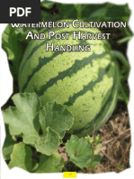 Watermelon Farming Guide | PDF | Watermelon | Soil
