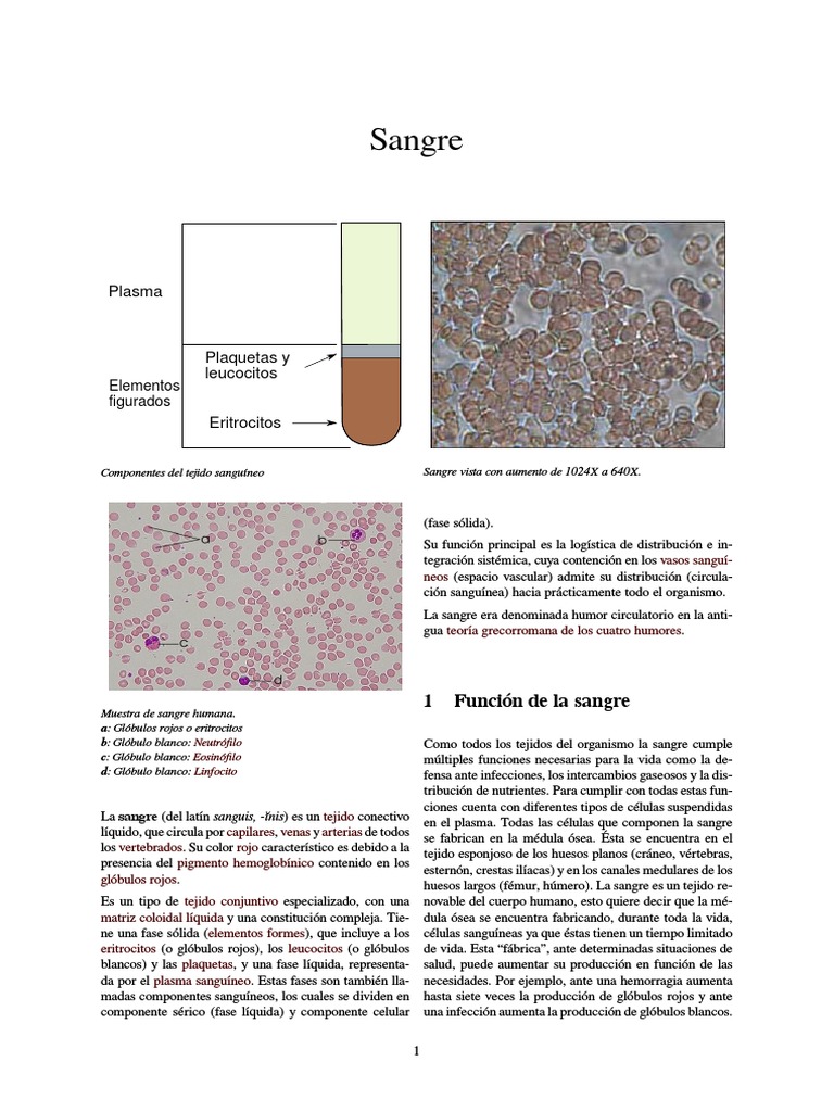Sangre Werty | PDF | Sangre | Leucocito