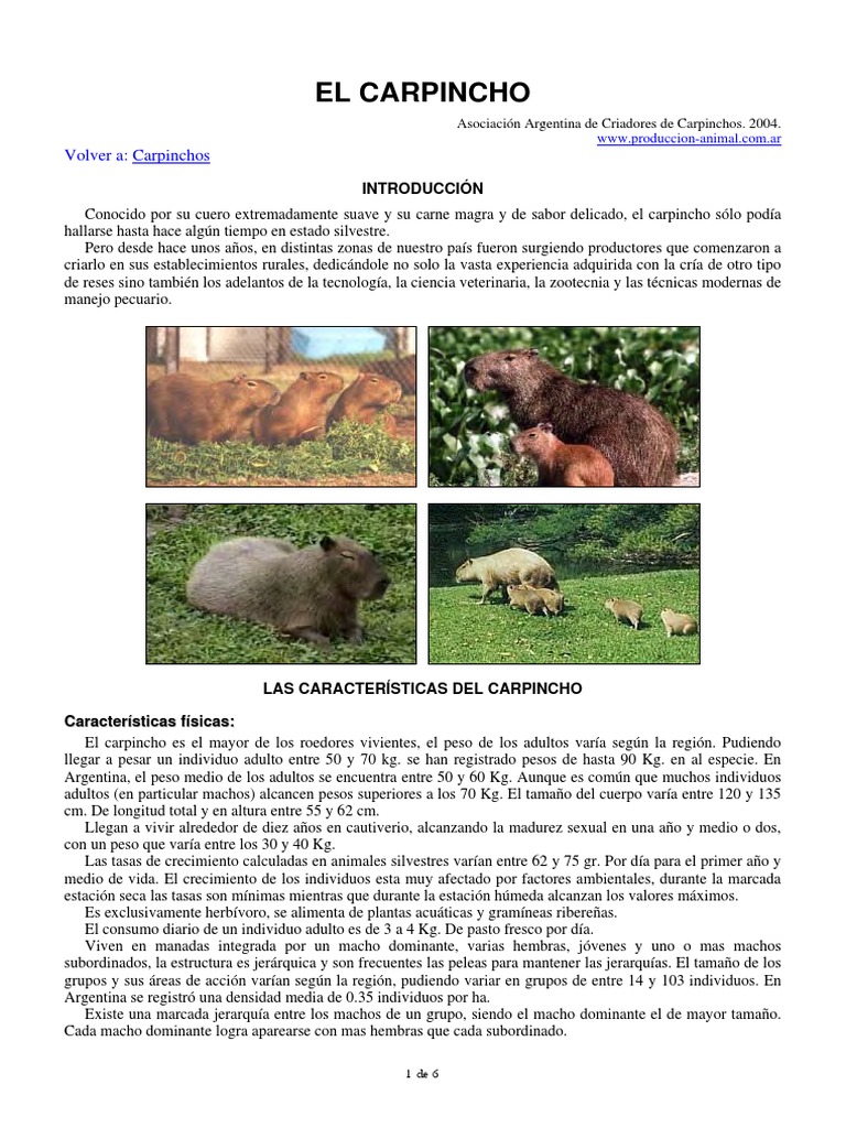 Carpinchos: Datos para Niños | PDF | Carbohidratos | Alimentos