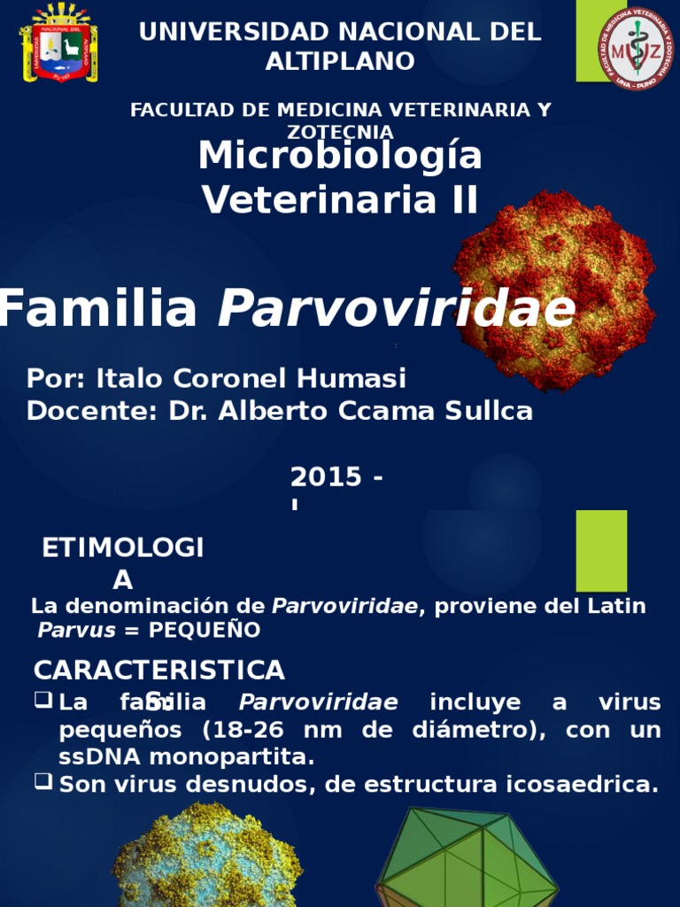 Parvoviridae | Virus | Microbiología