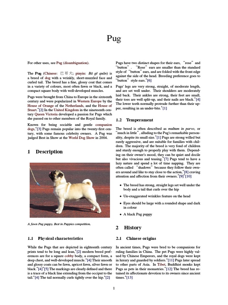 Pug | PDF | Domesticated Animals | Subspecies Of Canis Lupus