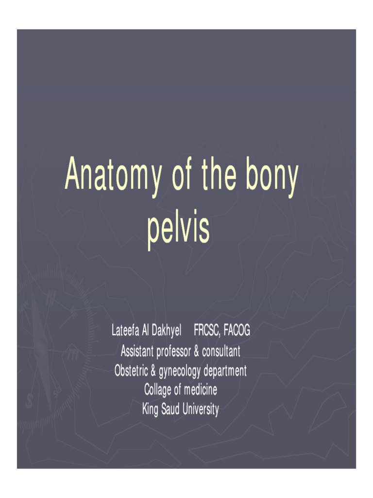 True vs. False Pelvis Explained | PDF | Pelvis | Human Anatomy