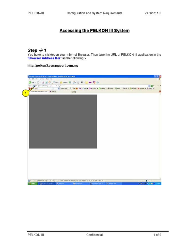 PELKON III System Access Guide | PDF | Internet Explorer | Web Browser