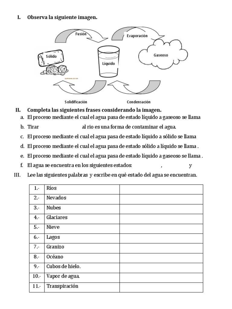 Prueba Ciclo y Estados Del Agua | PDF | El ciclo del agua | Tierra