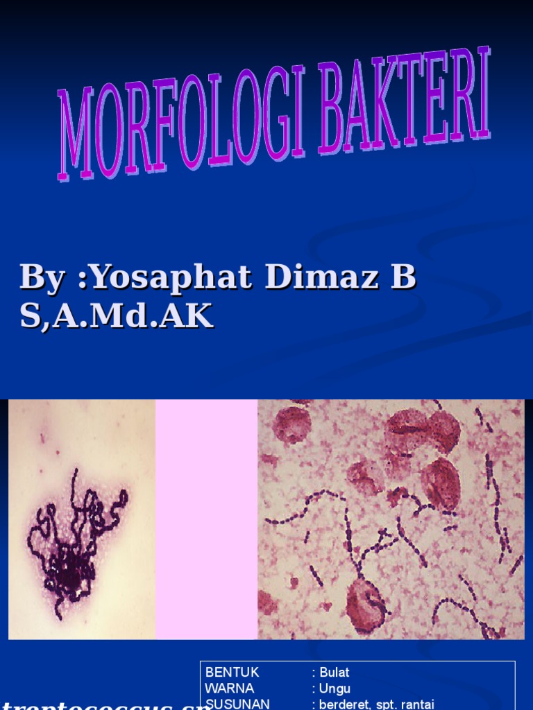 Morfologi Bakteri by Asep Dermawan | PDF | Mycobacterium | Gram ...