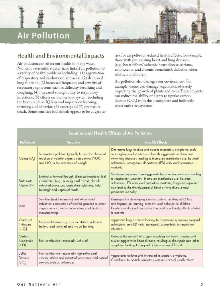 Health Effects of Air Pollution | PDF