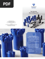 Champ Gyro User Guide Rev4.1 | PDF | Rechargeable Battery | Bluetooth